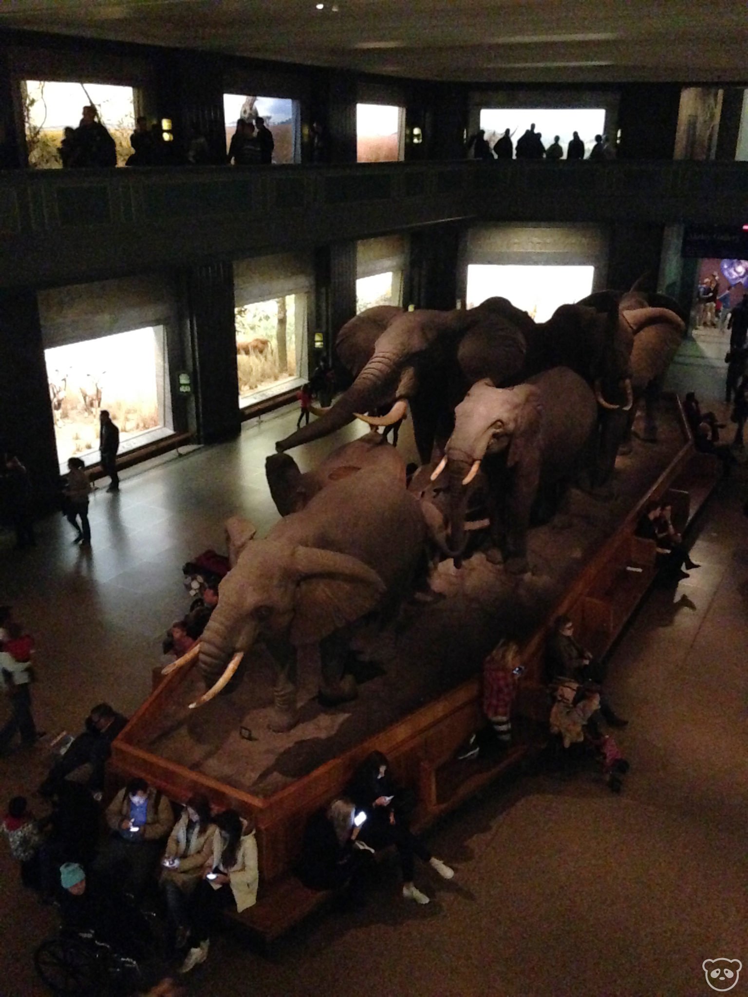 3 Days in New York City for First Timers with Places to Stay | The ...