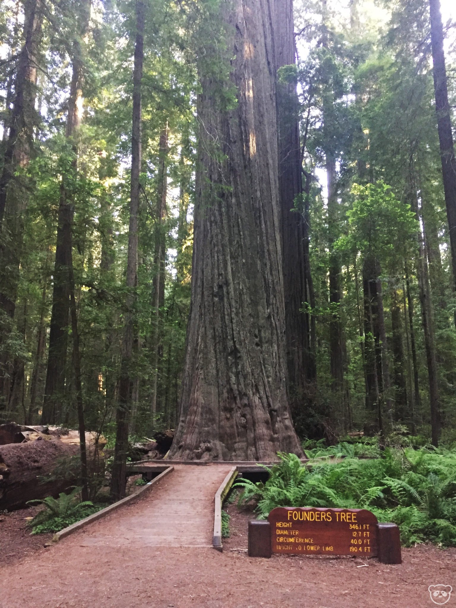 California Road Trip: SF to Redwoods Via Mendocino | The Adventures of ...