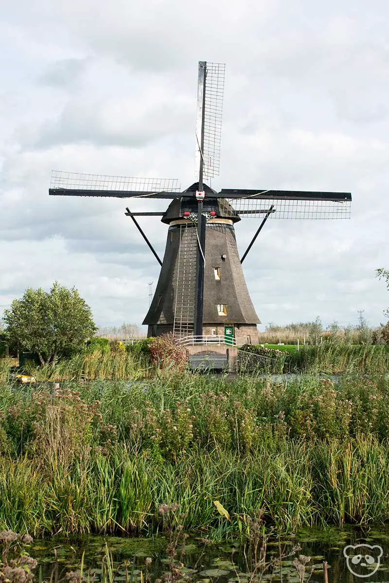 Kinderdijk Windmills: A Scenic Day Trip in the Netherlands | The ...