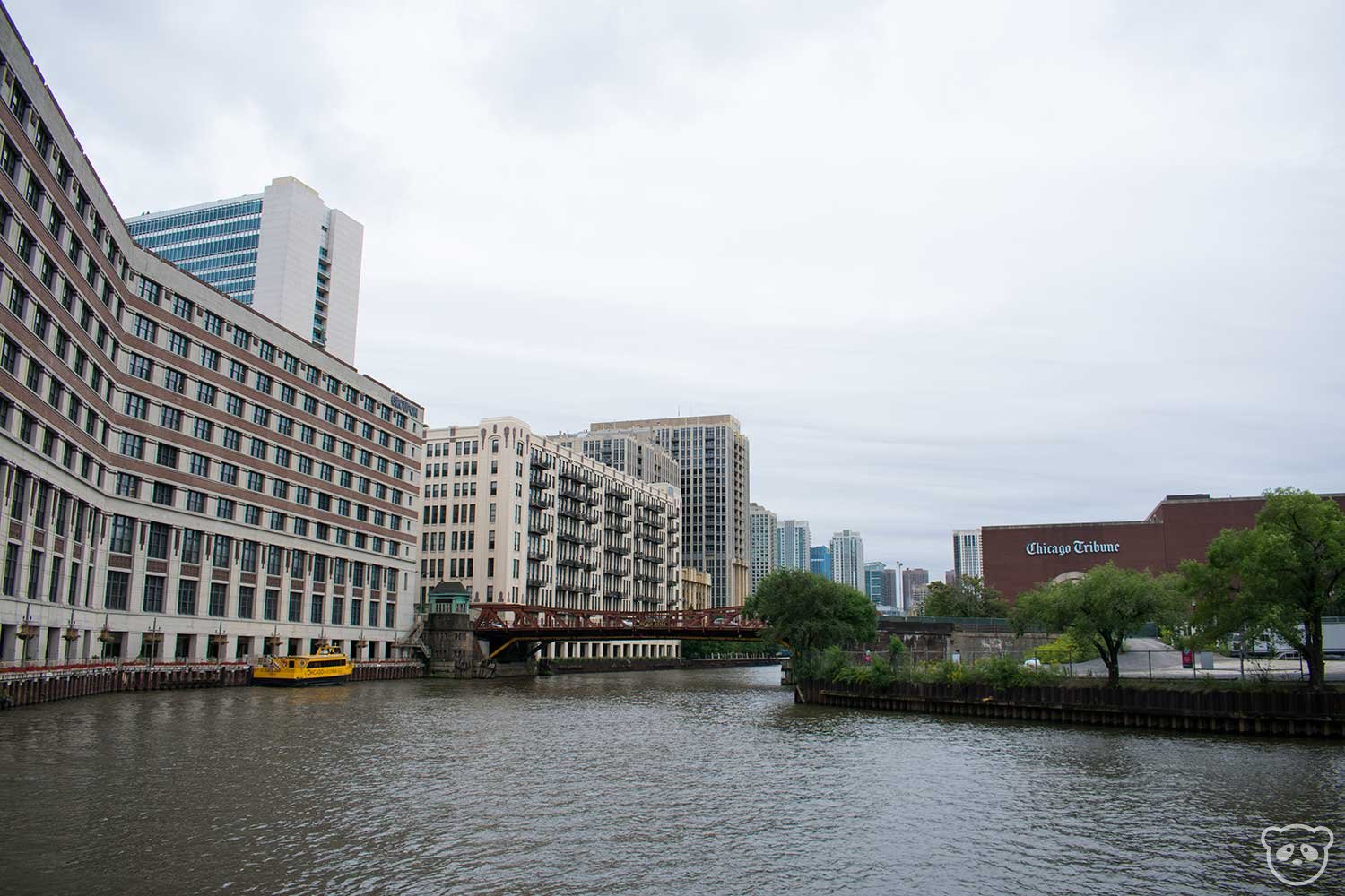 The BEST Architecture River Boat Tour in Chicago by Chicago ...